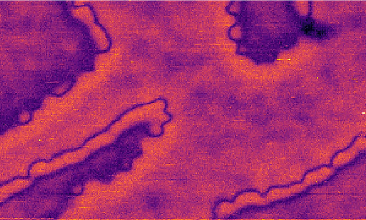 Quantum Sensing Leaders in Nanoscale Precision | Qnami
