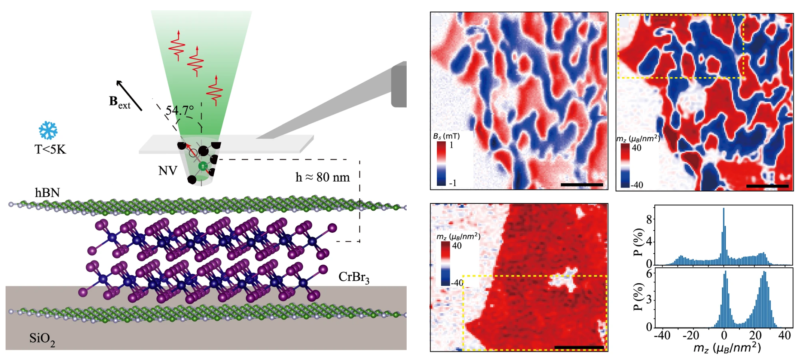 Scanning NV Magnetometry Reveals Magnetic Textures