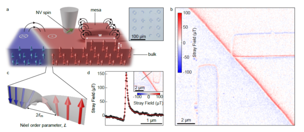 Nanoscale mechanics of domain walls - Qnami